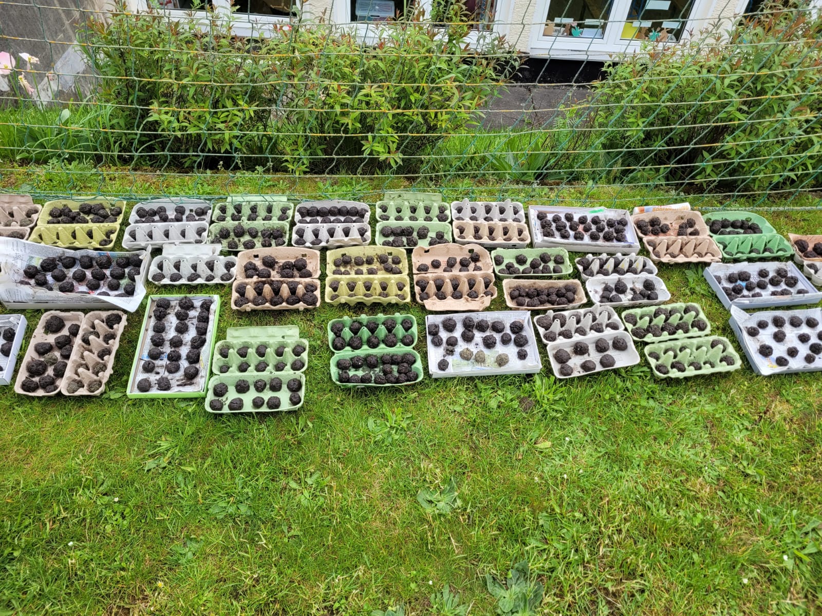 Ramadama - Umwelterziehung an allen Schulhäusern (Grundfeld) - Bad ...